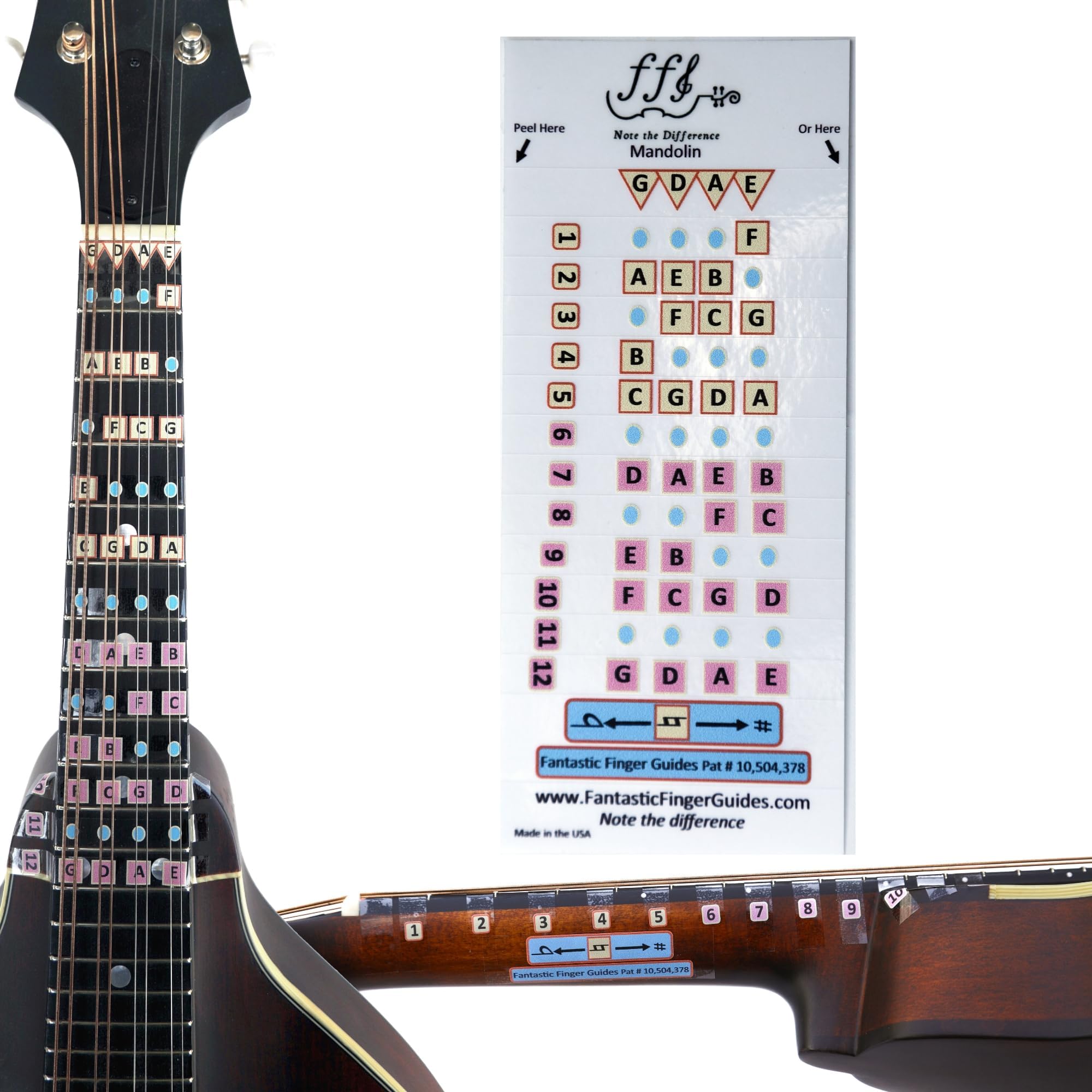 Amazon.com: THE PRACTICAL MANDOLIN CHORD and FRET BOARD CHART : Musical ...