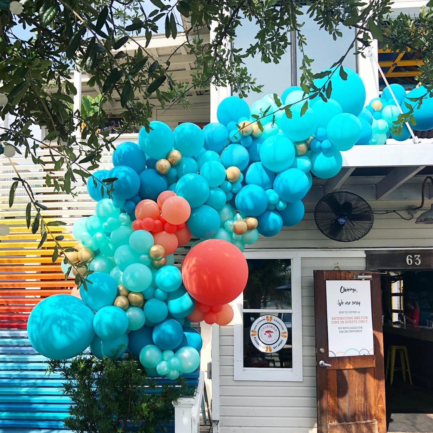 Snapklik.com : Teal Balloons 18 Inch - 30 Pack Large Thick Teal ...