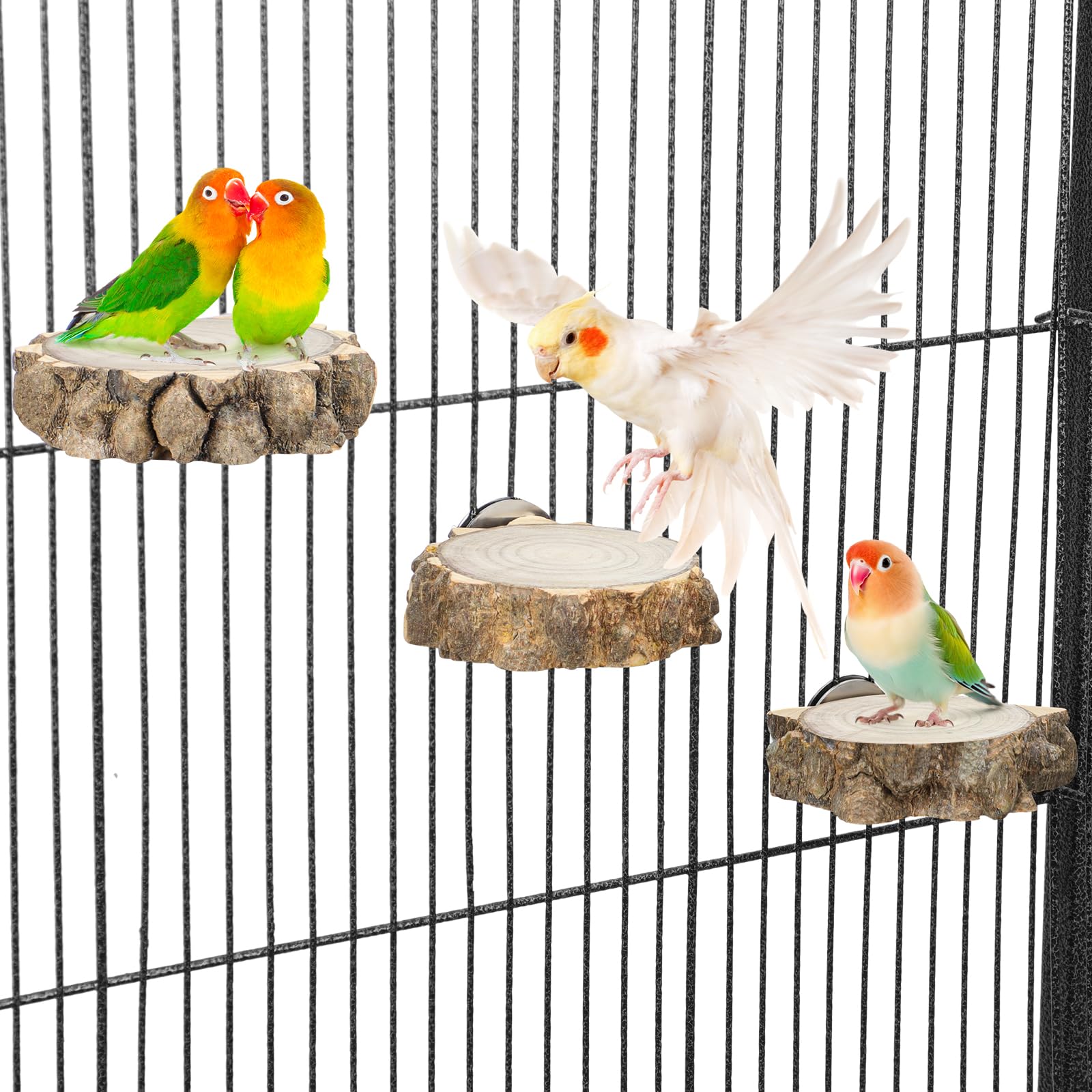 Amazon.com : 3PCS Bird Perch Natural Round Wooden Platform Parrot Perch ...