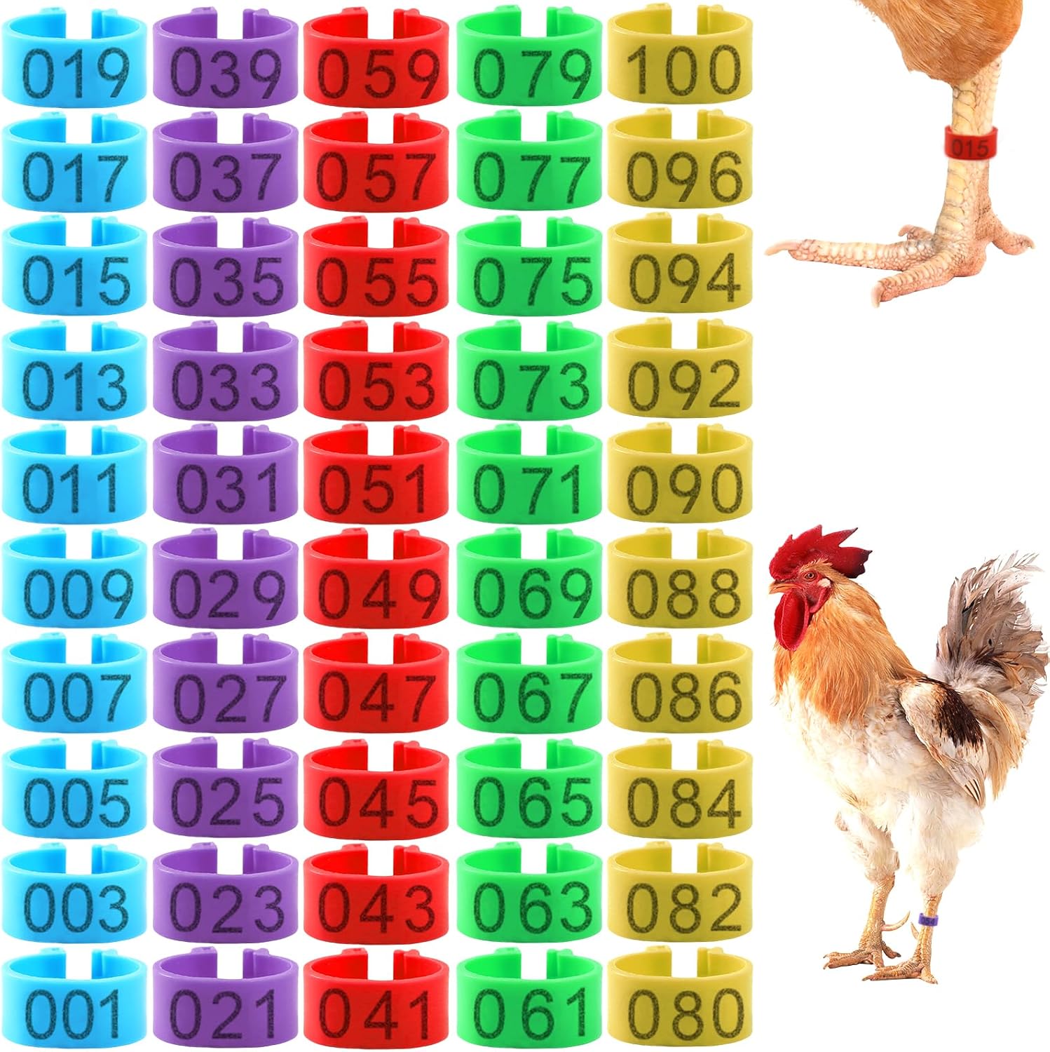 Amazon.com: 100 Pcs Poultry Leg Bands, Chicken Leg Rings, Duck Leg ...