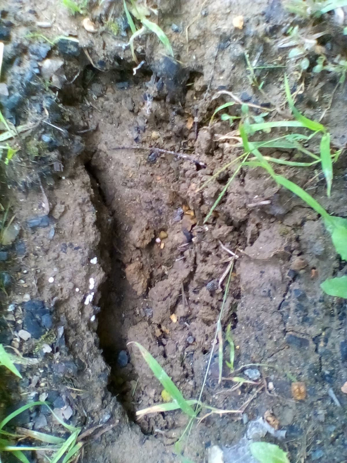 Amazon.co.uk: Carter Buschardt: books, biography, latest update