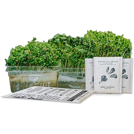 Amazon.com : Deluxe Microgreens Growing Kit - Grow Micro Greens & Baby ...