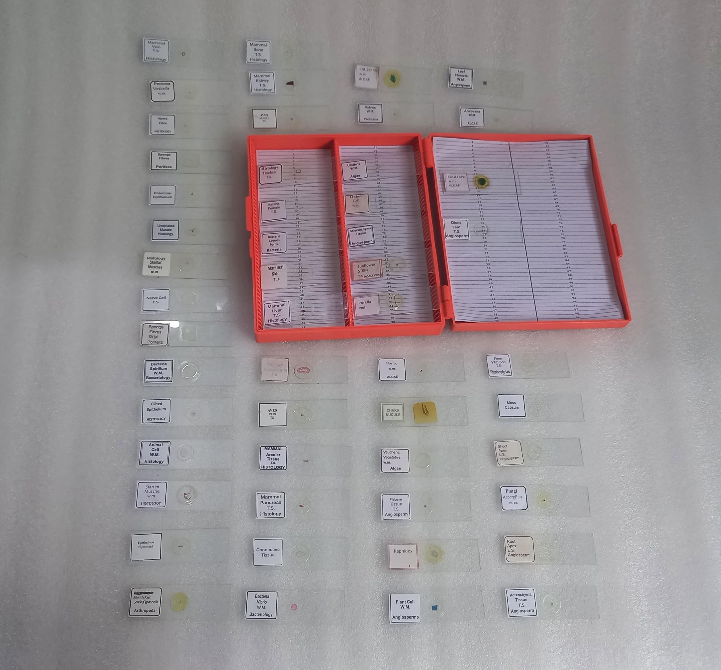 Permanent Prepared Microscope Slides (Set of 100 pc) Including Animal ...