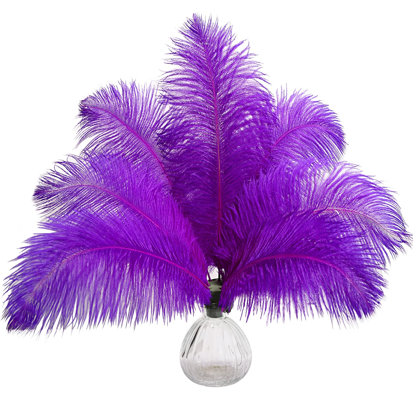 Amazon.com: 10pcs Natural Purple Ostrich Feathers 10-12inch 25-30cm for ...
