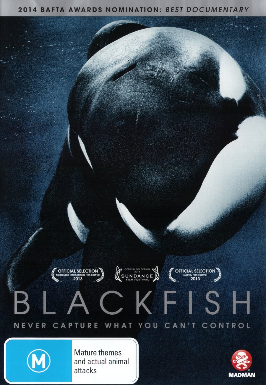 Amazon.com: Blackfish | Documentary | NON USA Format | Region 4 Import ...