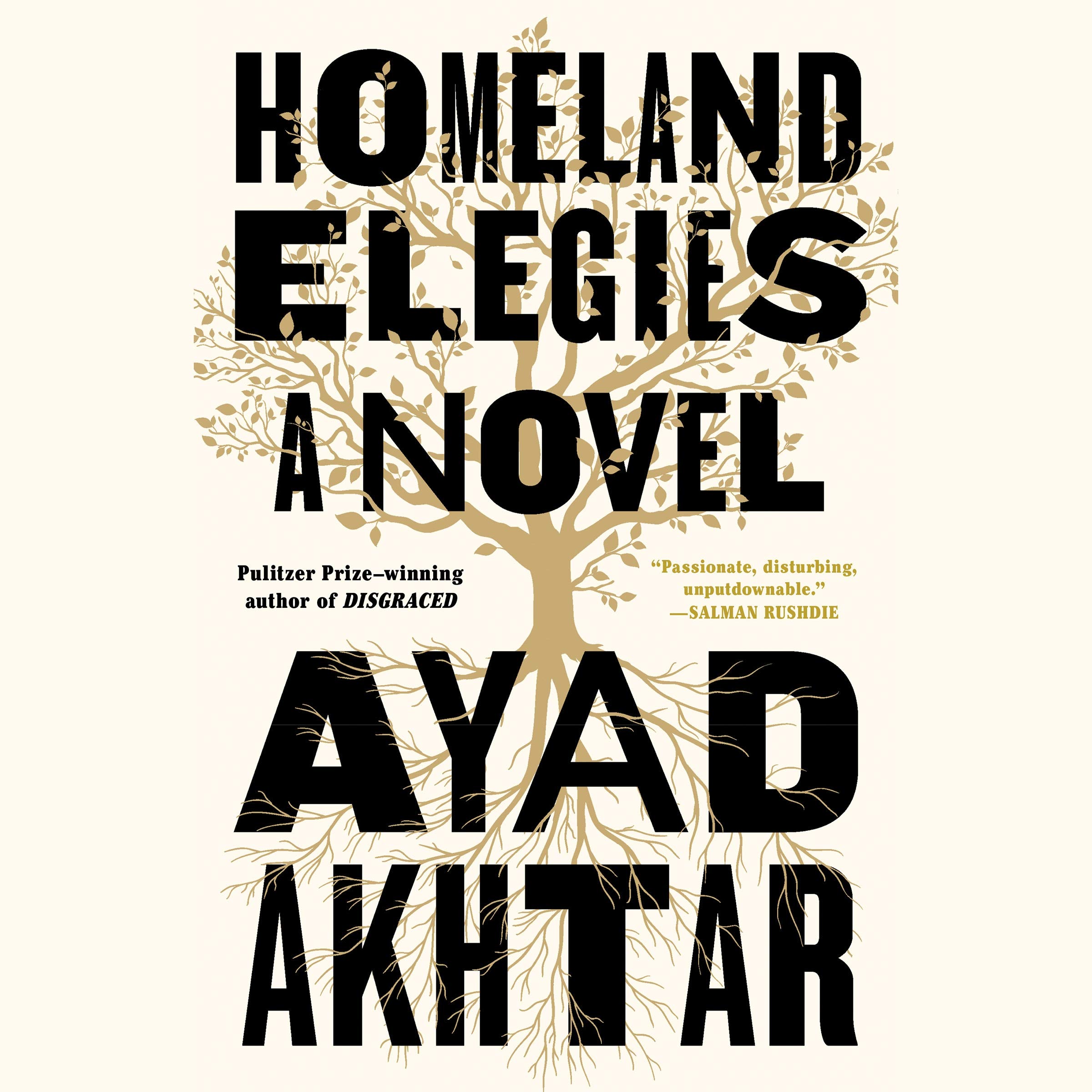 Amazon.com: Homeland Elegies: A Novel: 9781549107207: Ayad Akhtar: Books