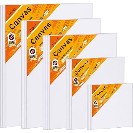 Amazon.com: Fixwal 18 Pack Canvases for Painting Art Canvas Boards ...