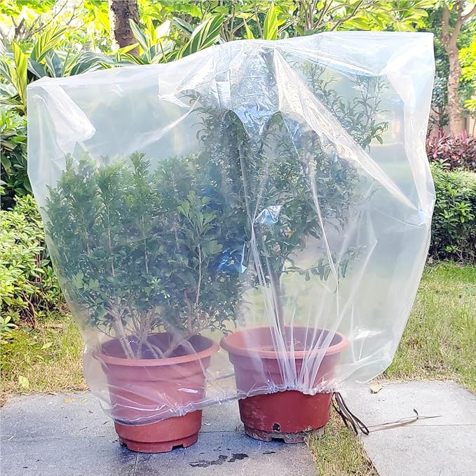 Amazon.com : LHongL Plant Covers Freeze Protection Frost,6 mil ...