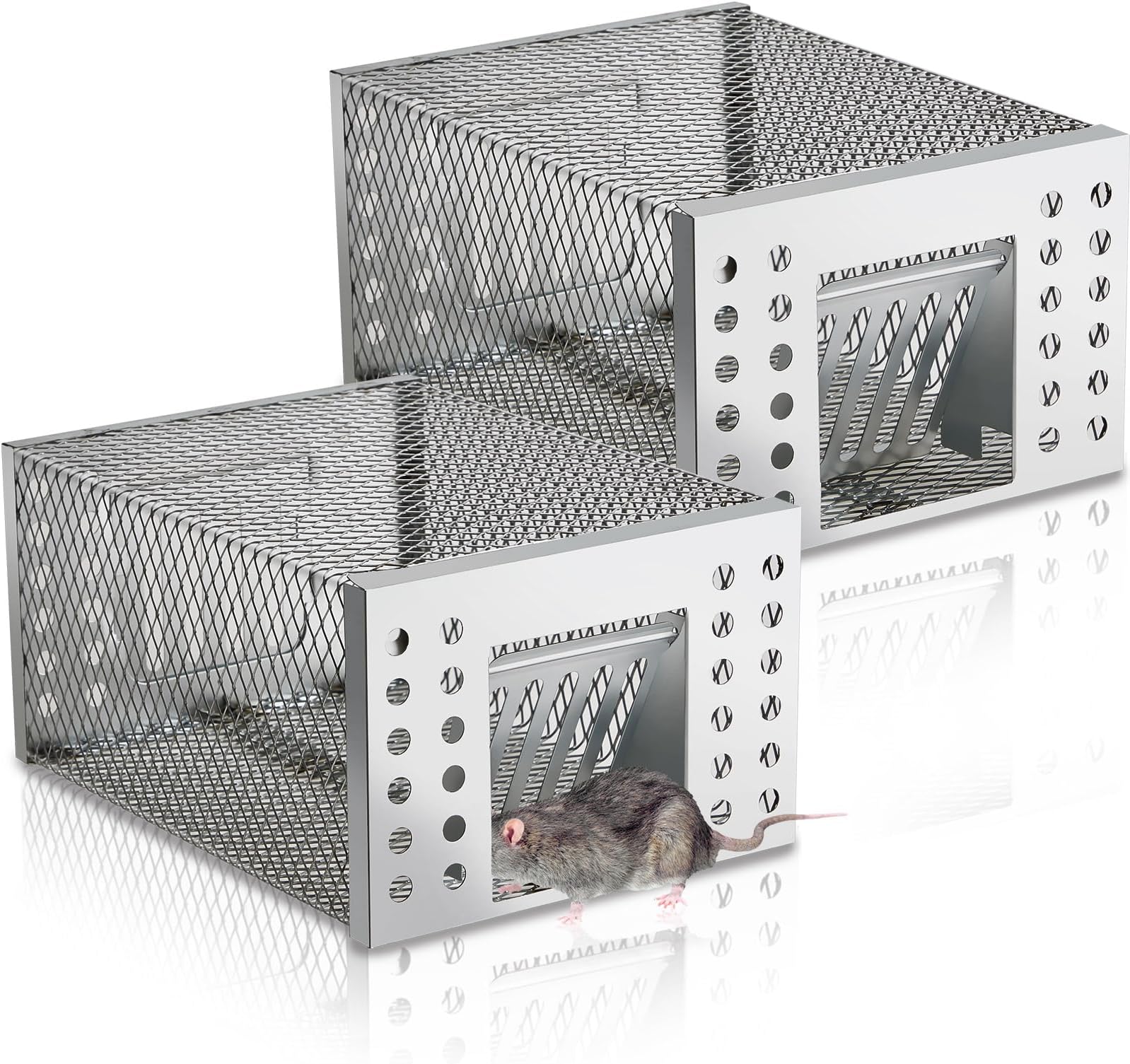 Amazon.com : Kittmip 2 Pcs Humane Rat Trap Live Chipmunk Cage Trap for ...