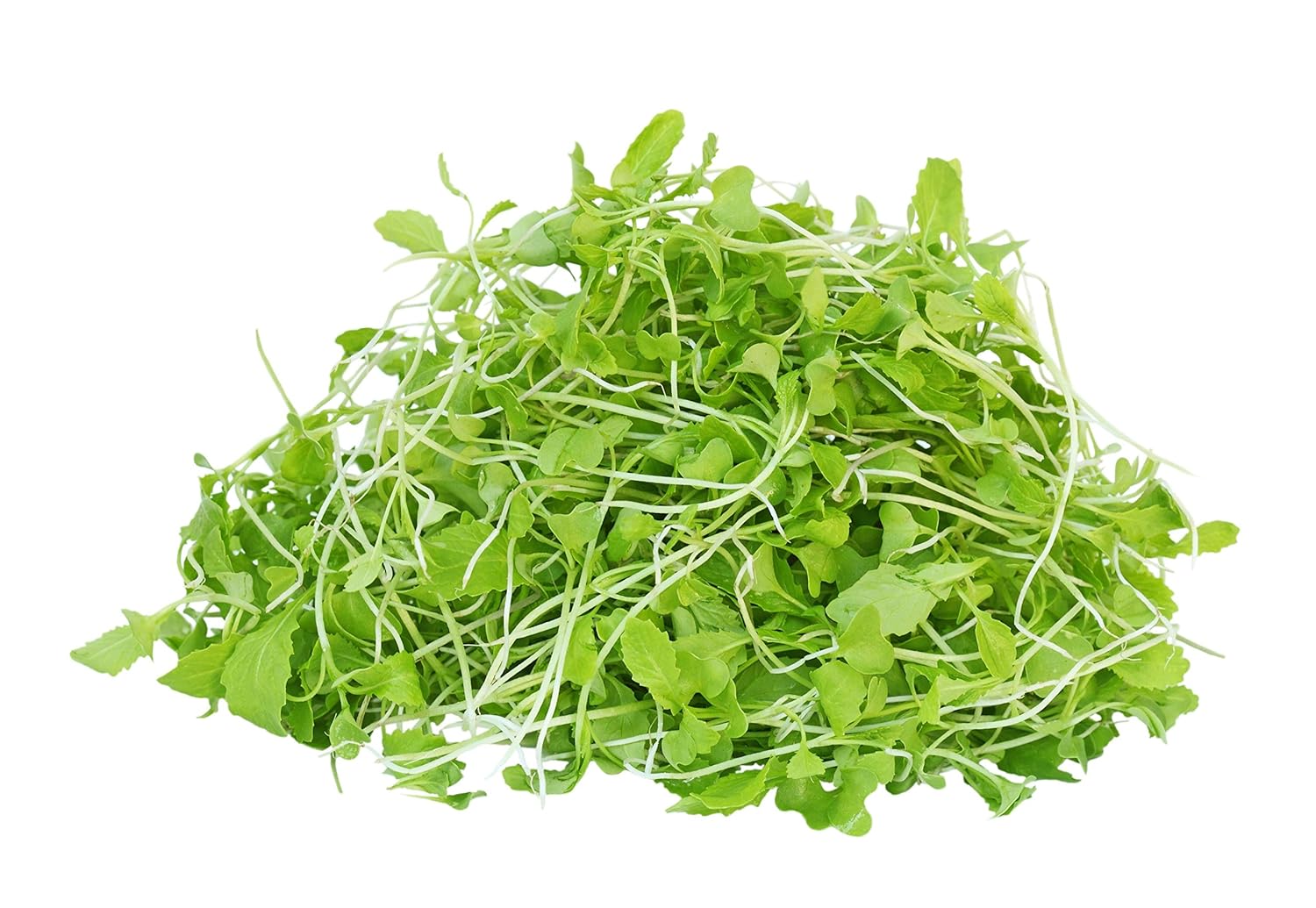 Creative Farmer Vegetable Seeds Fenugreek (Metha) Microgreen Seeds ...