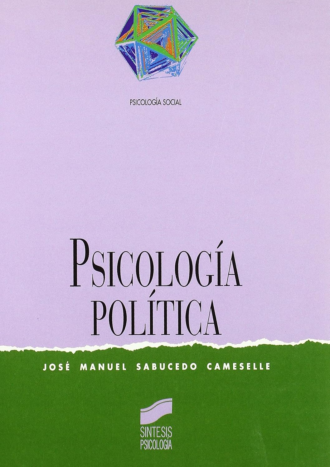 Psicología política: 2 (Síntesis psicología. Psicología social ...