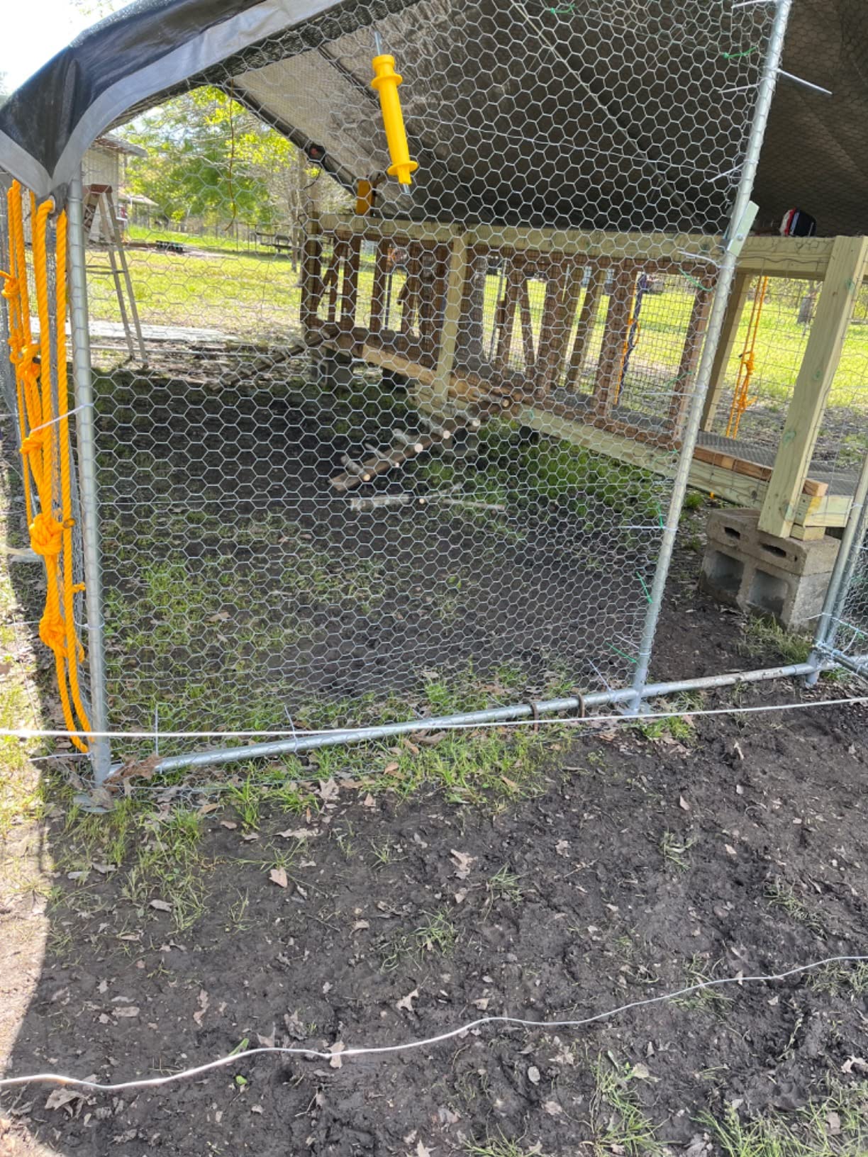 $13/mo - Finance OUYESSIR Outdoor Metal Chicken Coop, Large Walk-in ...