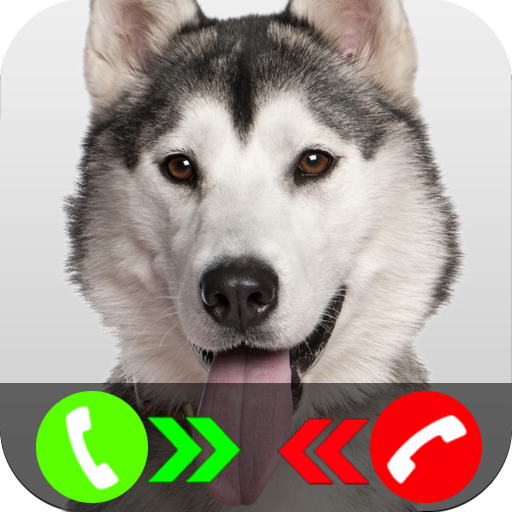 Fake Call From Siberian Husky Prank - App on Amazon Appstore