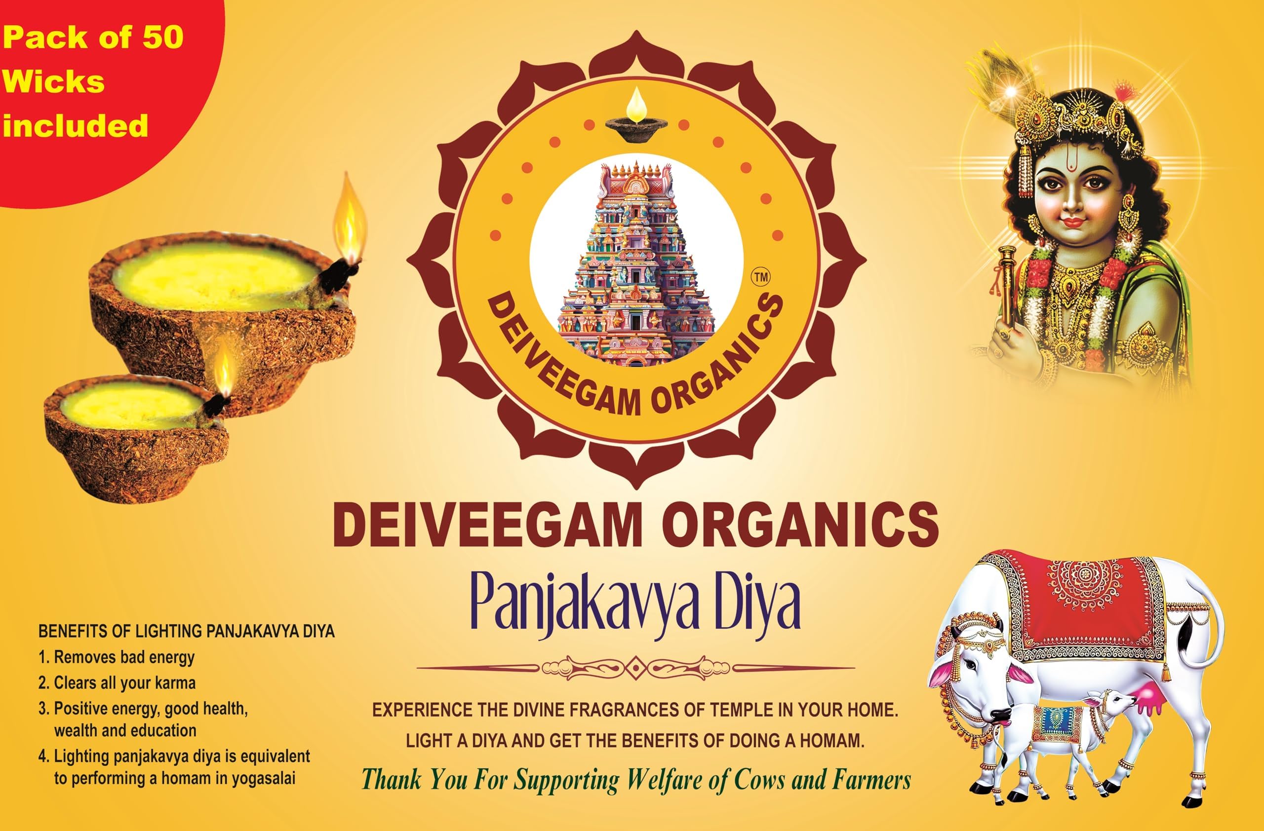 Buy Nagaas Cow Dung Floating Diyas – 60 Panchagavya Vilakku, Organic ...