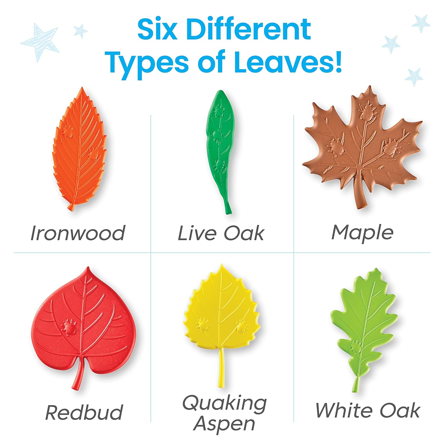 Buy Hand2mind Sensory Leaves Math Activity Set Pattern Play Shape buy-hand2mind-sensory-leaves-math-activity-set-pattern-play-shape