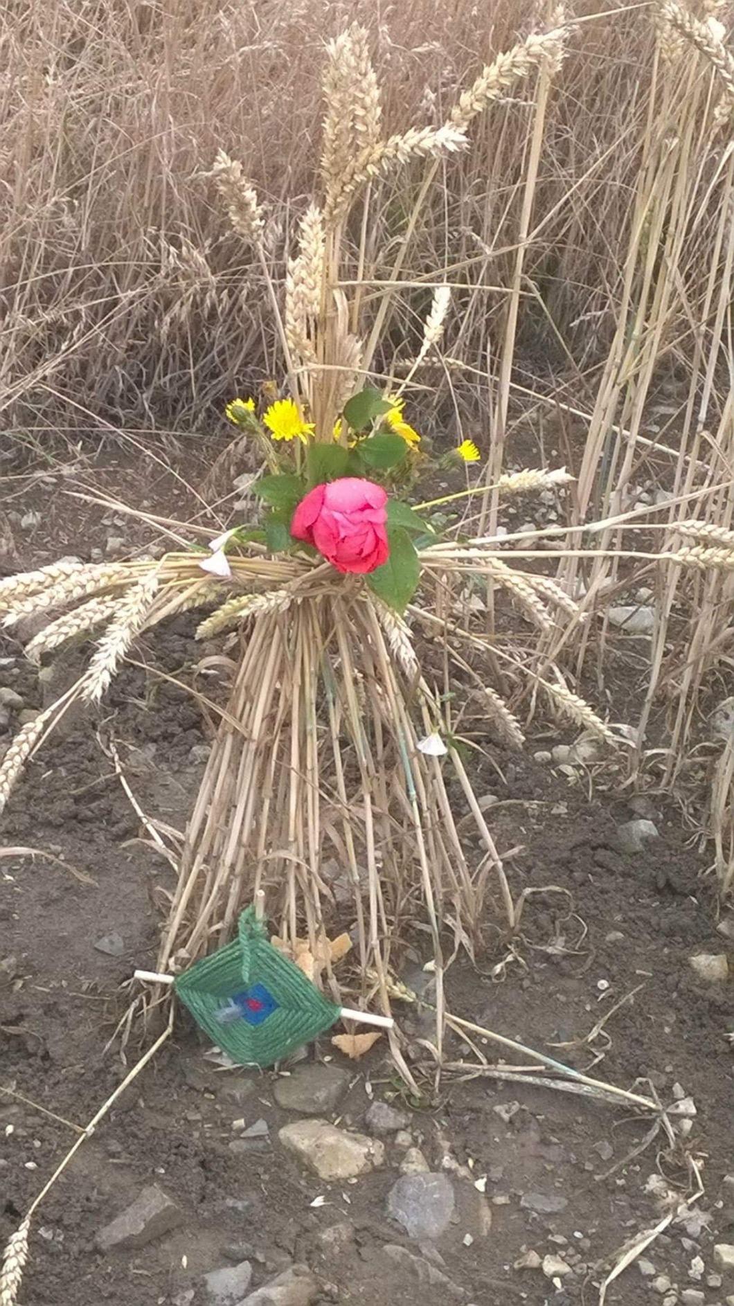 The GYPSY SWITCH AND OTHER RITUAL JOURNEYS : Smith, Jill: Amazon.co.uk ...