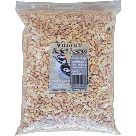 Amazon.com : Peanuts, Shelled Bird Feed - 10 lb Bag-with Partial Skins ...