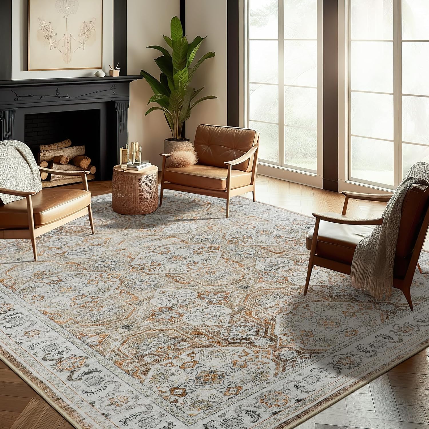 Amazon.com: Soalmost 8x10 Area Rugs, Washable Rugs, Large Stain ...