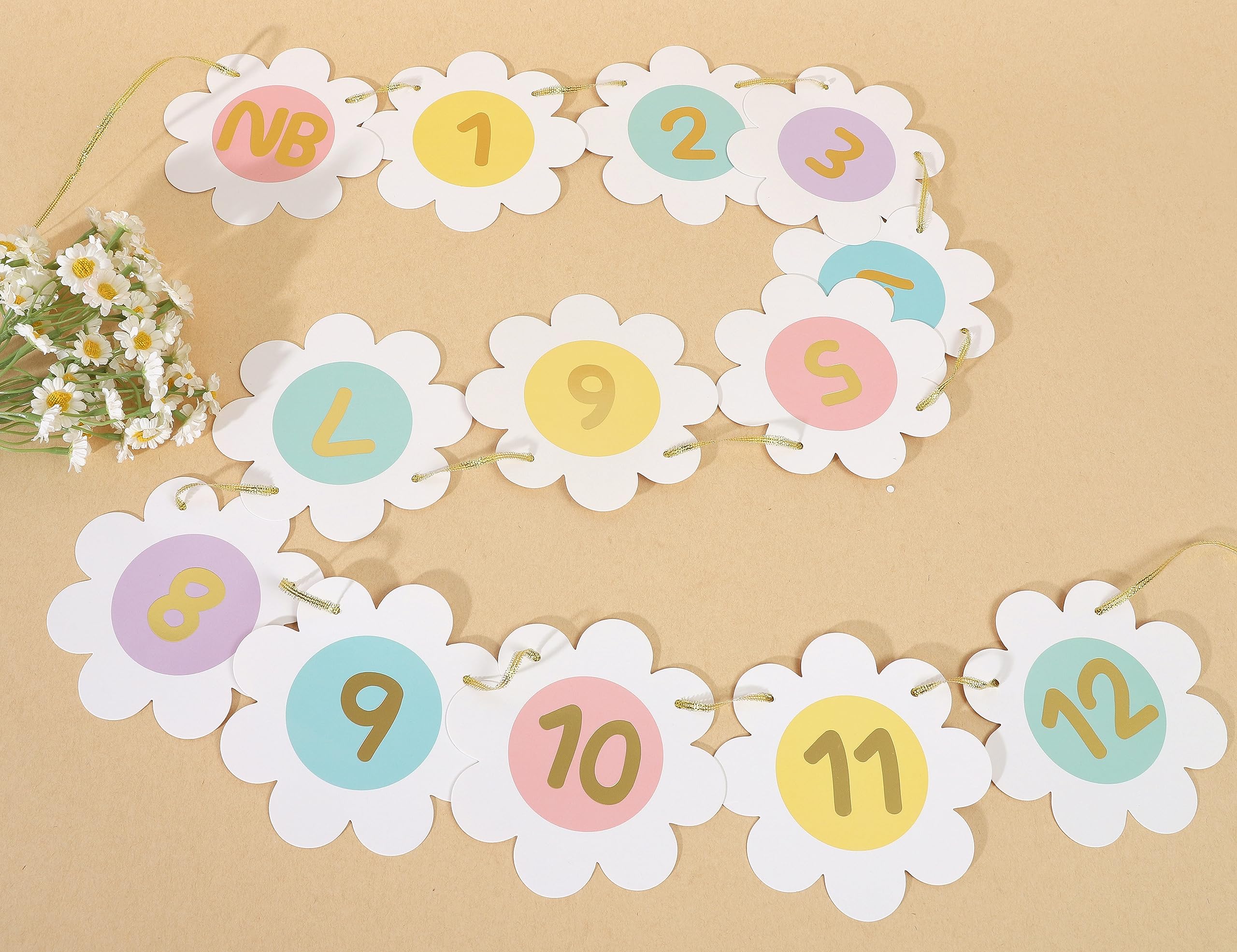 Amazon.com: Daisy Monthly Milestone Photo Banner - Boho Daisy 1st ...