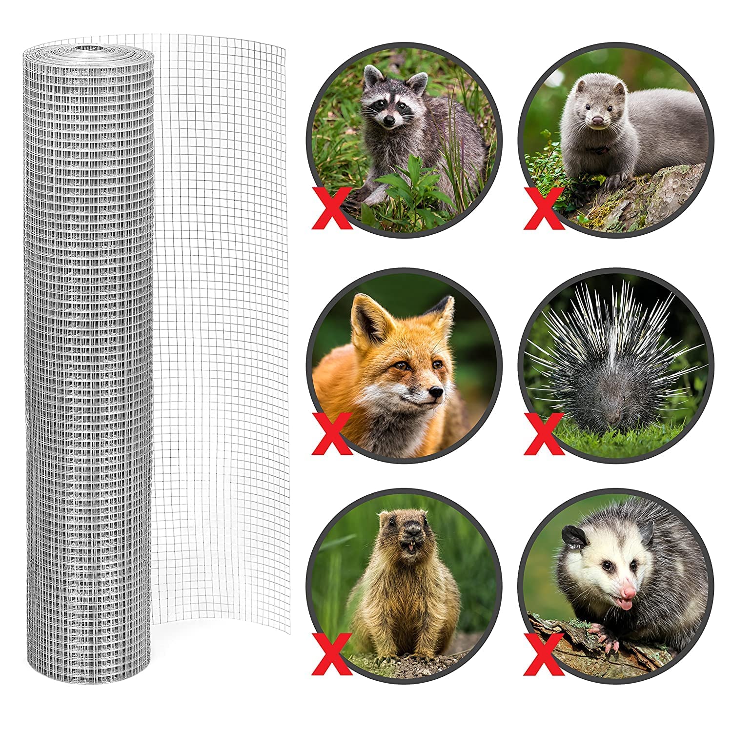 Snapklik.com : 2 Pack Hardware Cloth 1/4 Inch 36 X 25 Ft, Hot-Dip ...