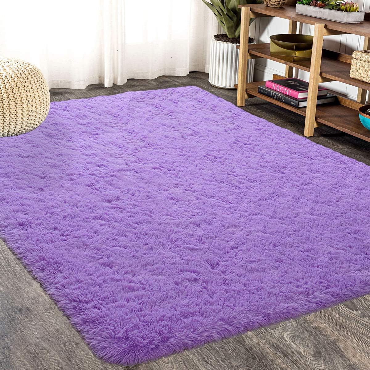 Amazon.com: Fluffy Ultra Soft Shaggy Area Rugs for Kids Baby Children ...