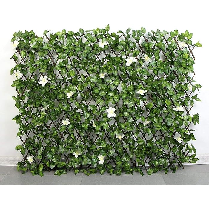 Buy HYGRAD BUILT TO SURVIVE Expanding Wooden Garden Trellis Fence ...