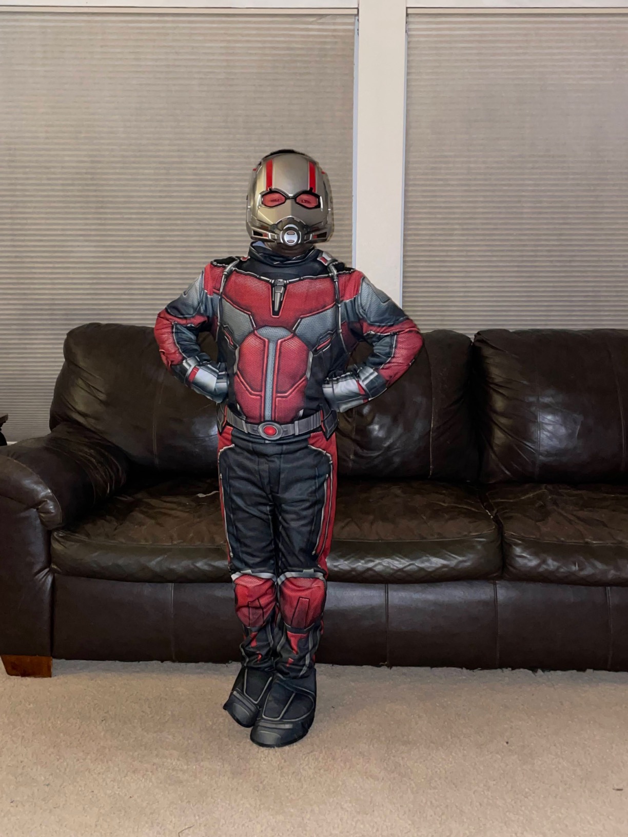 Amazon.com: Rubies Marvel Avengers: Endgame Child's Ant-Man Costume ...