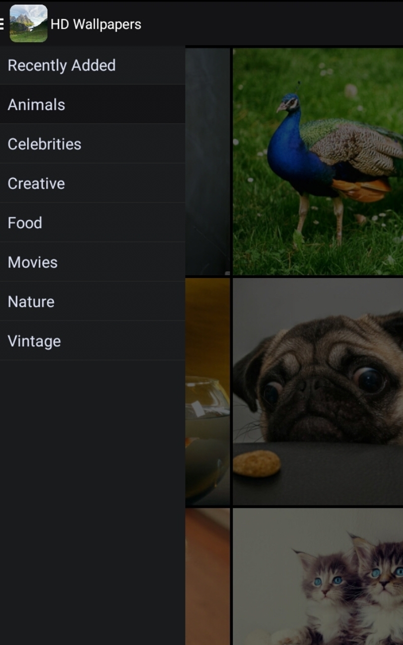 HD Wallpaper - App on Amazon Appstore
