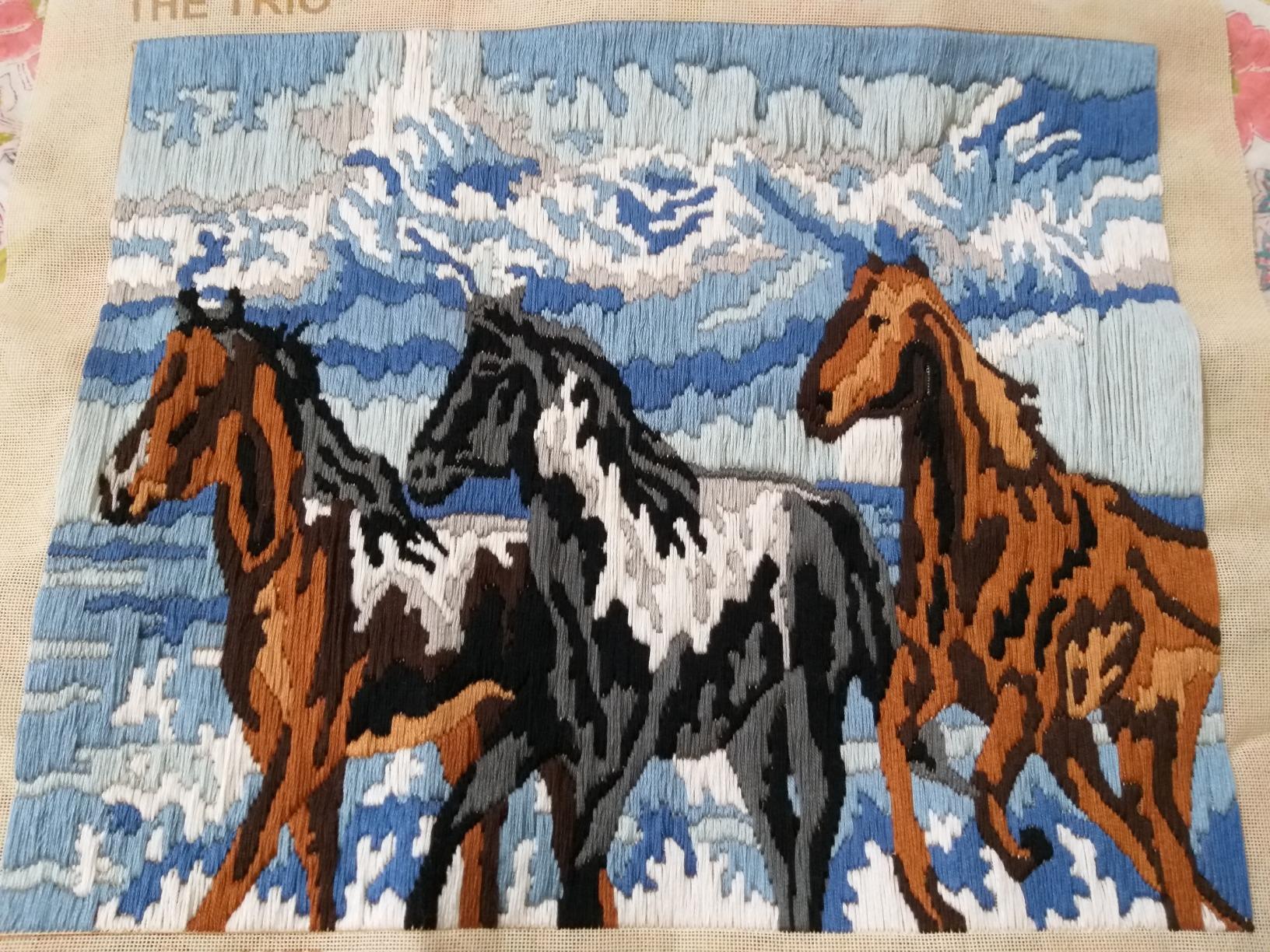 Anchor Stitch Kit-The Trio : Amazon.in: Home & Kitchen