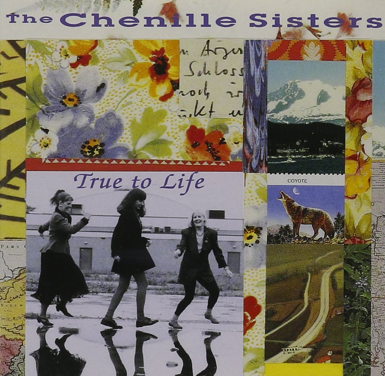 The Chenille Sisters, Debbie Davies, Rick Harris, Alan Williams, Greg ...