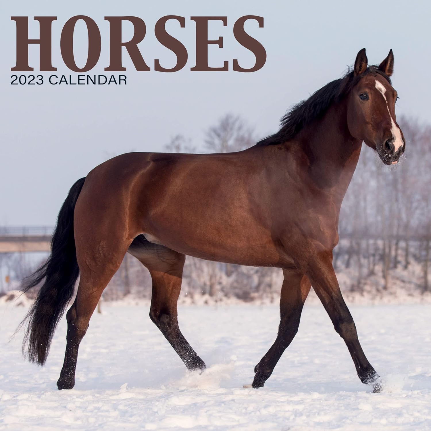 2023 Horses Mini Calendar: Avonside Publishing Ltd: 9781839419164 ...
