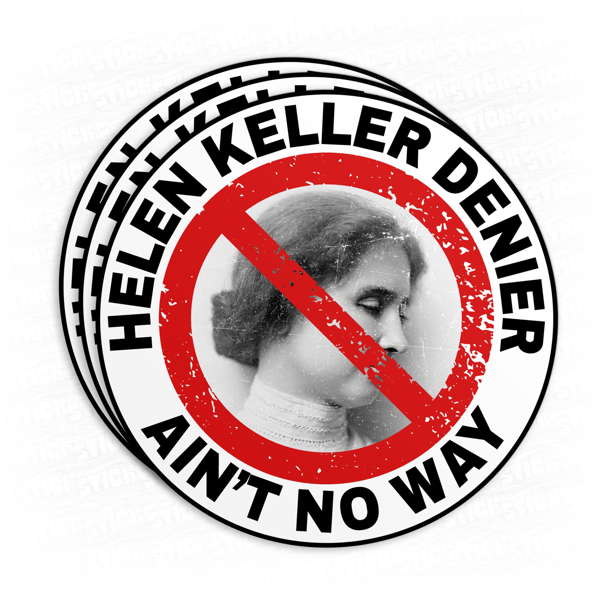 Amazon.com: (3Pcs) Helen Keller Denier Matte Sticker Meme Book Lover ...