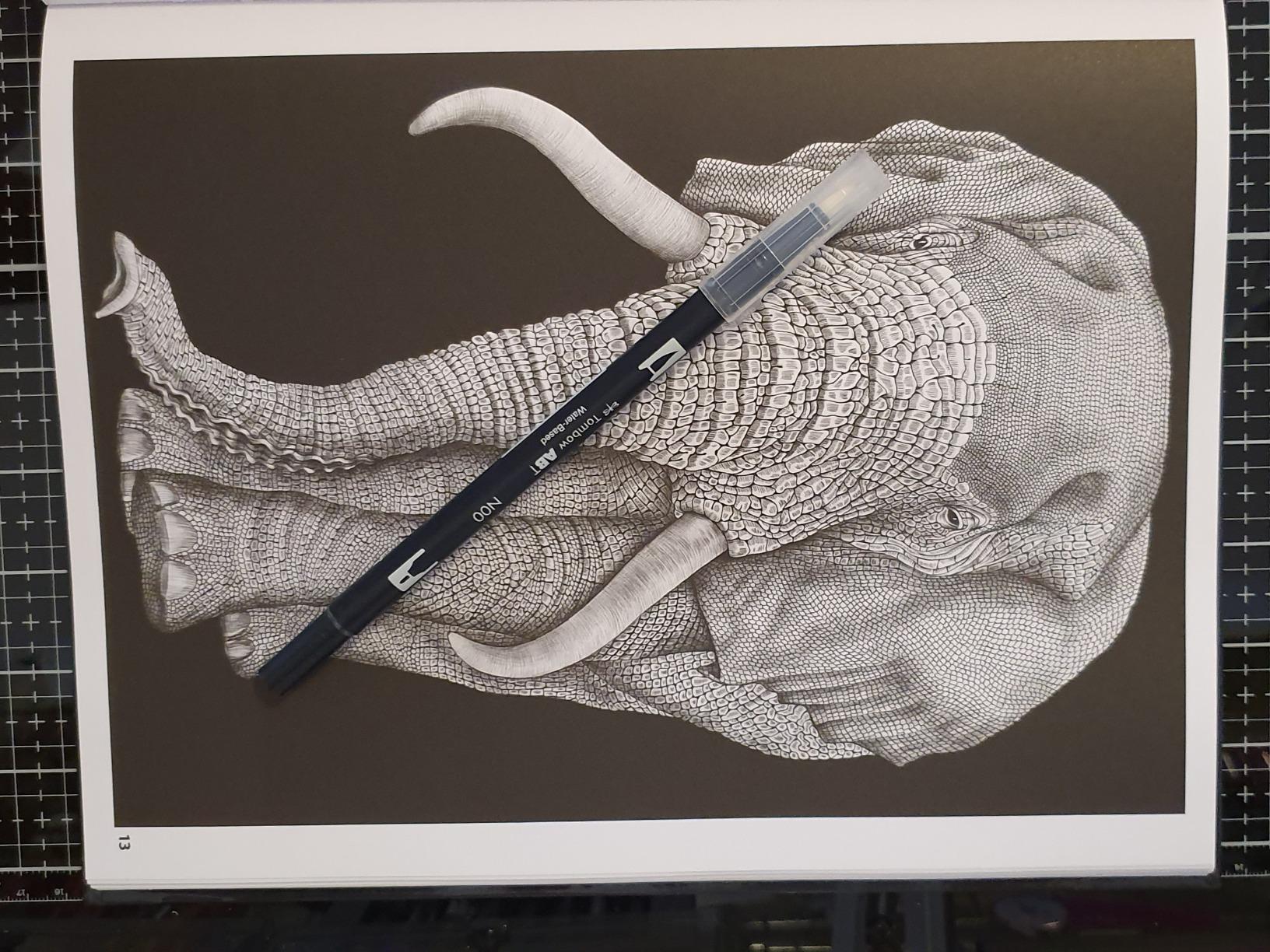 Intricate Ink Animals in Detail a Coloring Book by Tim Jeffs : Tim ...