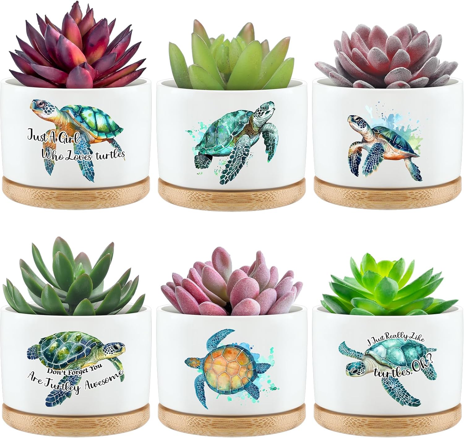 Amazon.com : Teenyyou 6 Pcs Sea Turtle Planters Gifts for Women Turtle ...
