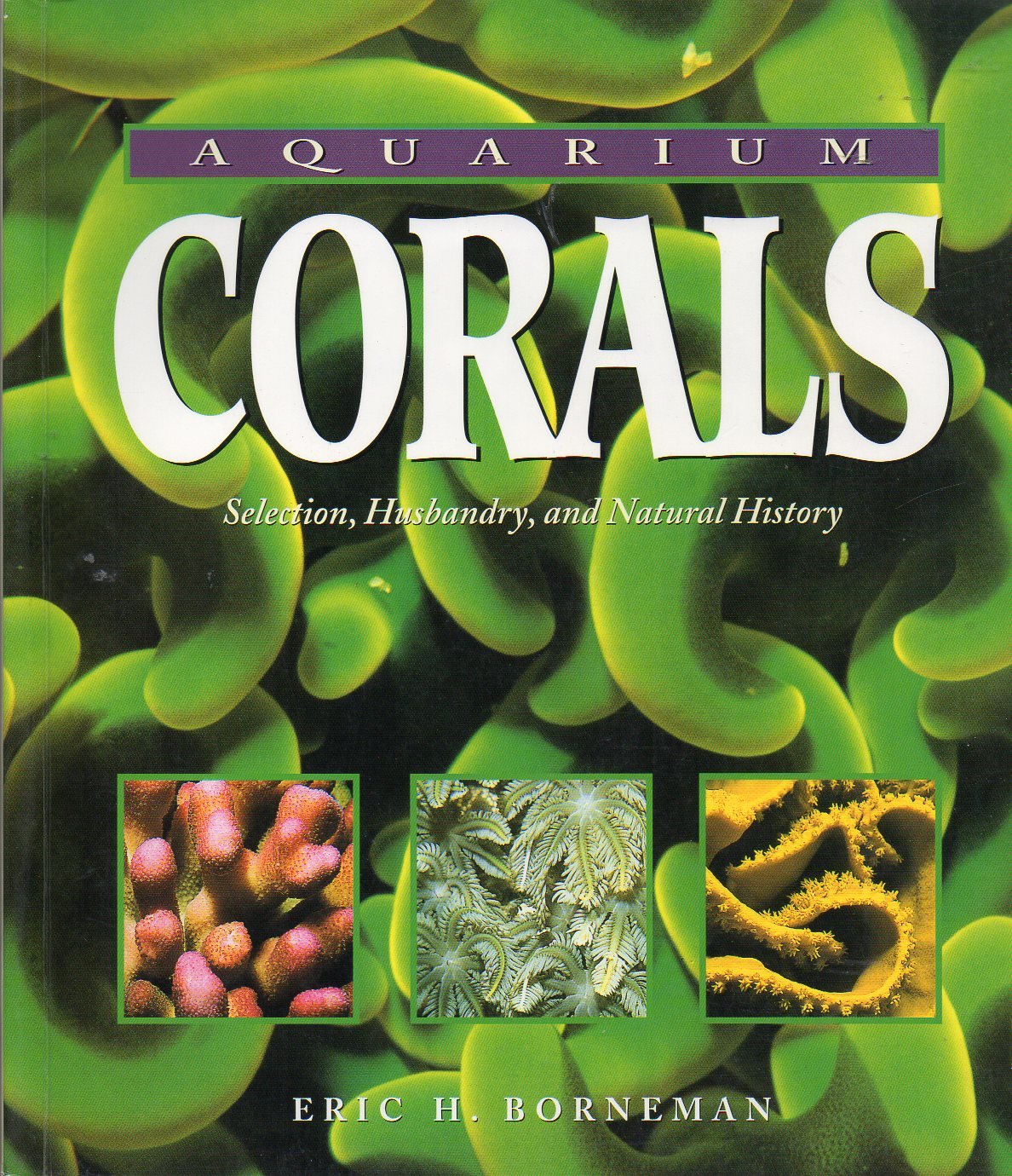 Aquarium Corals: Selection, Husbandry, and Natural History: Borneman ...