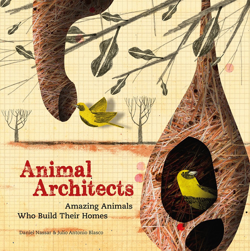 Animal Architects: Amazing Animals Who Build Their Homes : Blasco ...