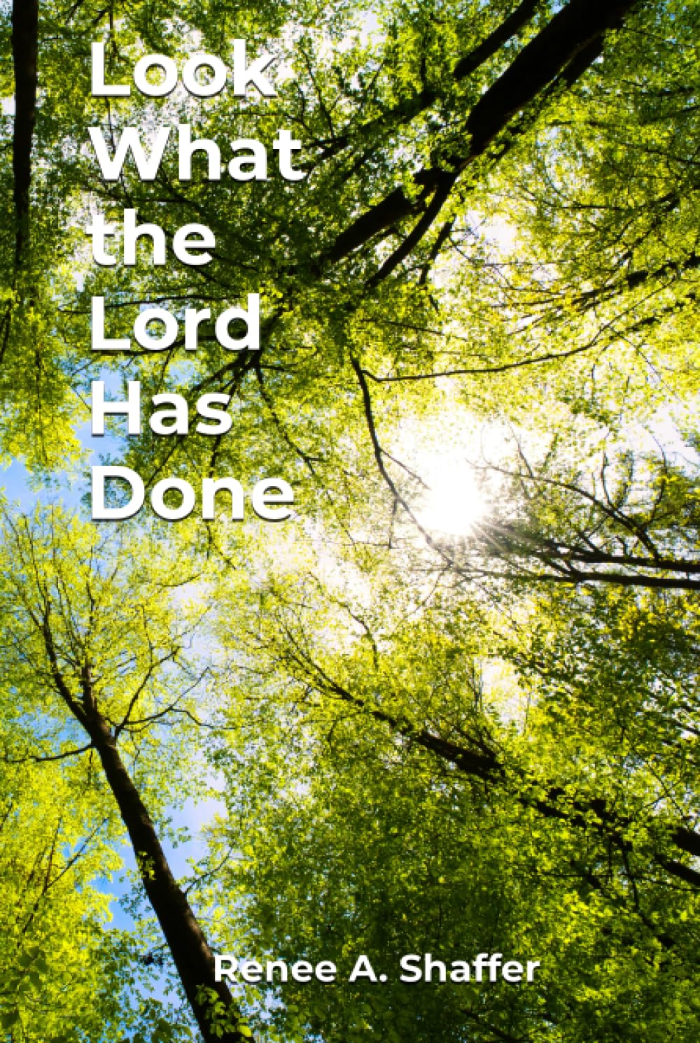 Look What the Lord Has Done: Shaffer, Renee A.: 9798350716702: Amazon ...