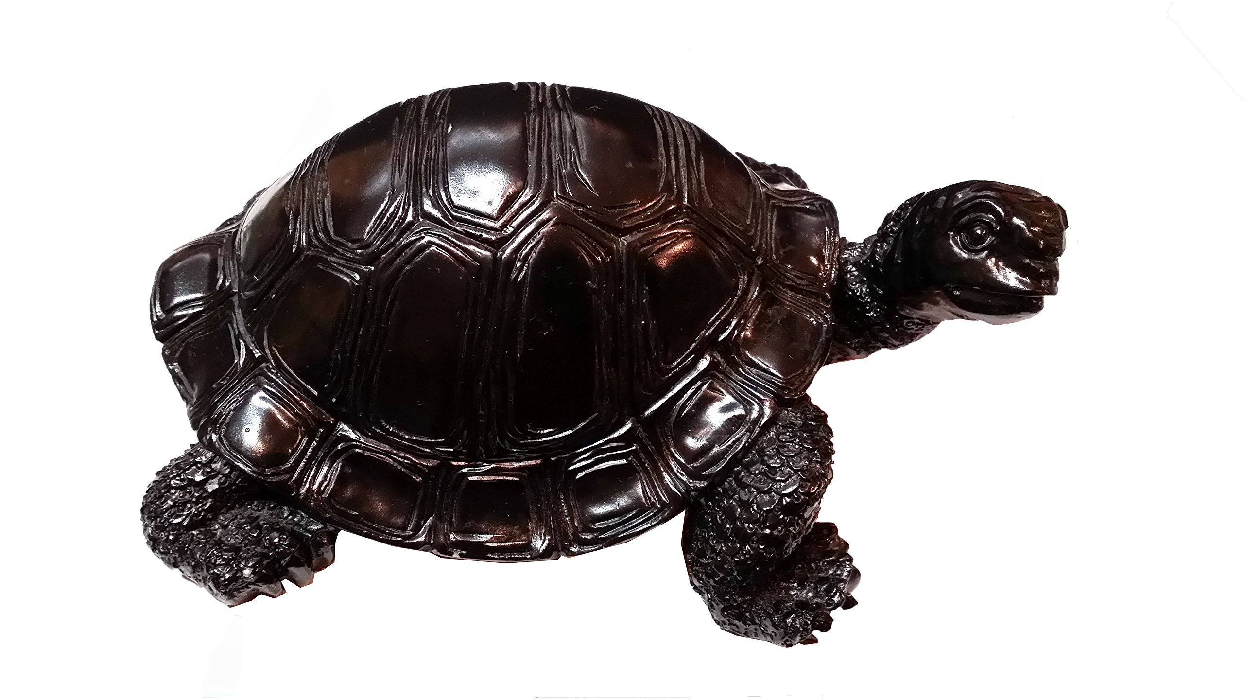 Black Tortoise Chinese