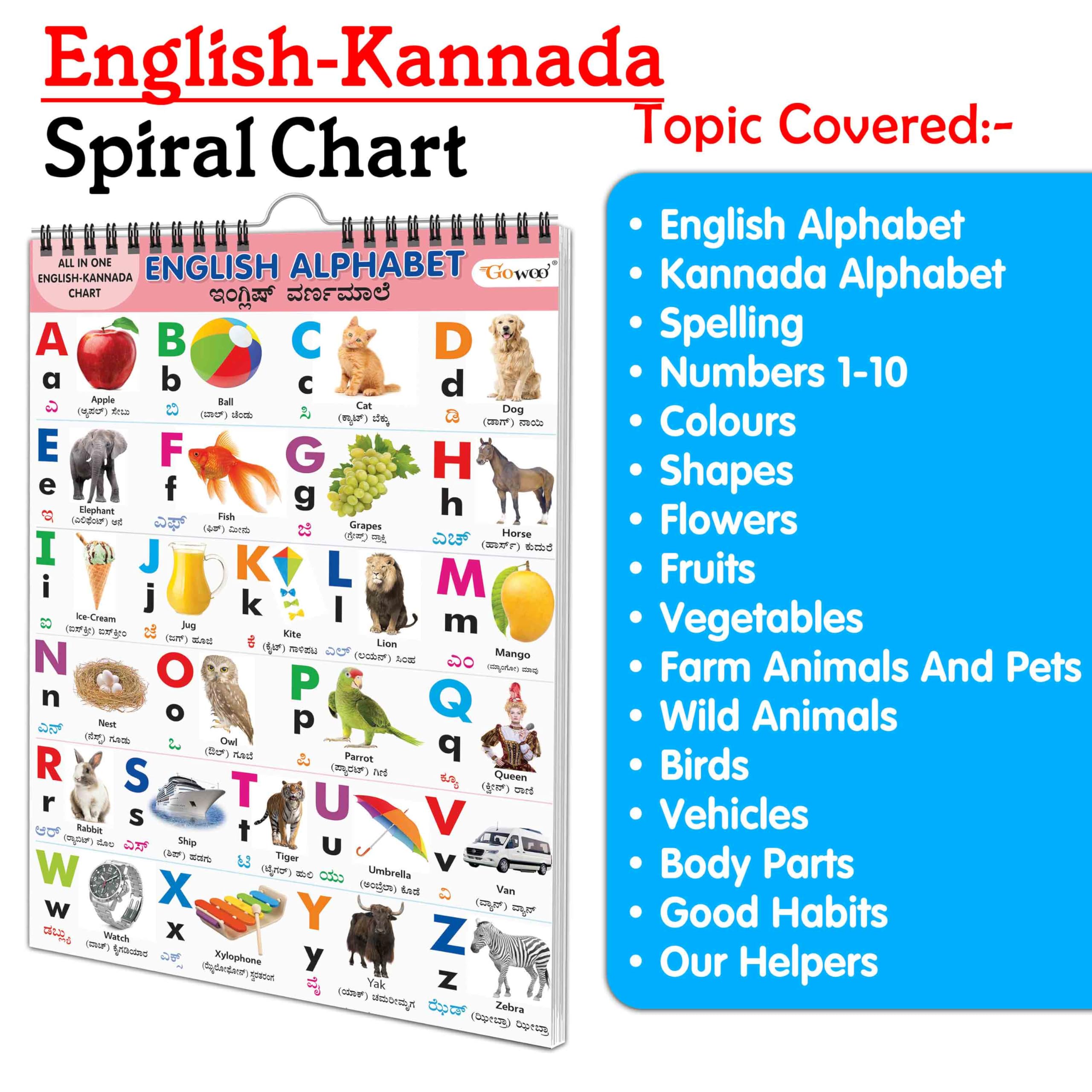 Buy Ukg Class Picture ENGLISH-KANNADA Chart With 16 Topics : English ...