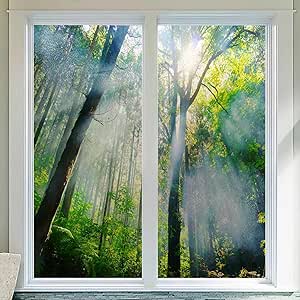 Amazon.com: Misty Forest Home Office Window Privacy Film Green ...