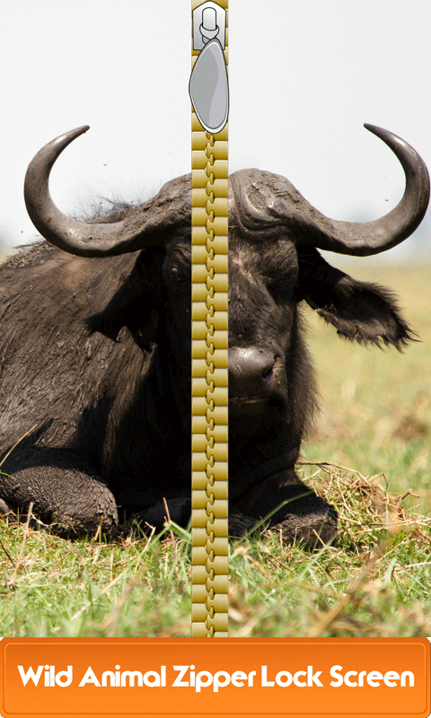 Wild Animal Zipper Lock Screen - App on Amazon Appstore