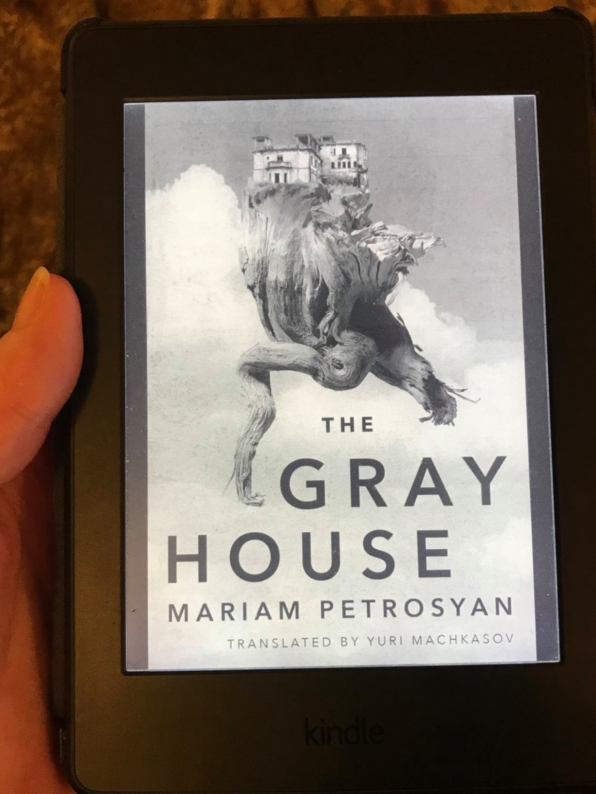 The Gray House : Petrosyan, Mariam, Machkasov, Yuri: Amazon.com.au: Books