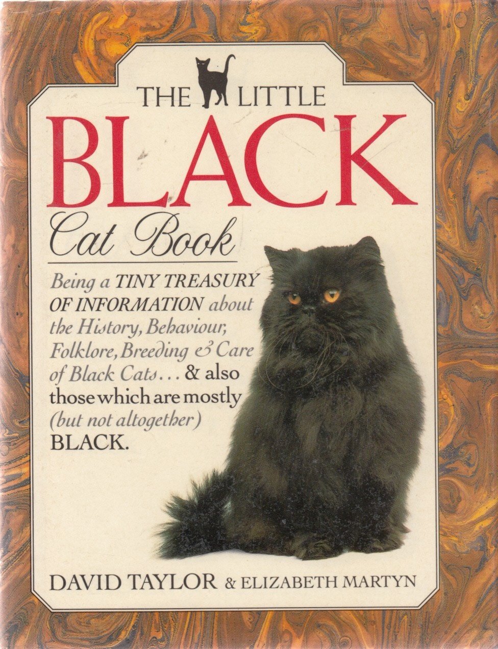 Little Black Cat Book (Little Cat Library): David Taylor: 9780863184550 ...