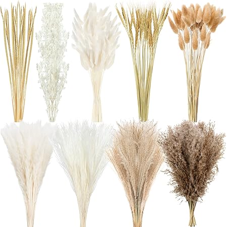 Amazon.com: 170 Pcs Natural Dried Pampas Grass 17 Inch Pompous Grass ...