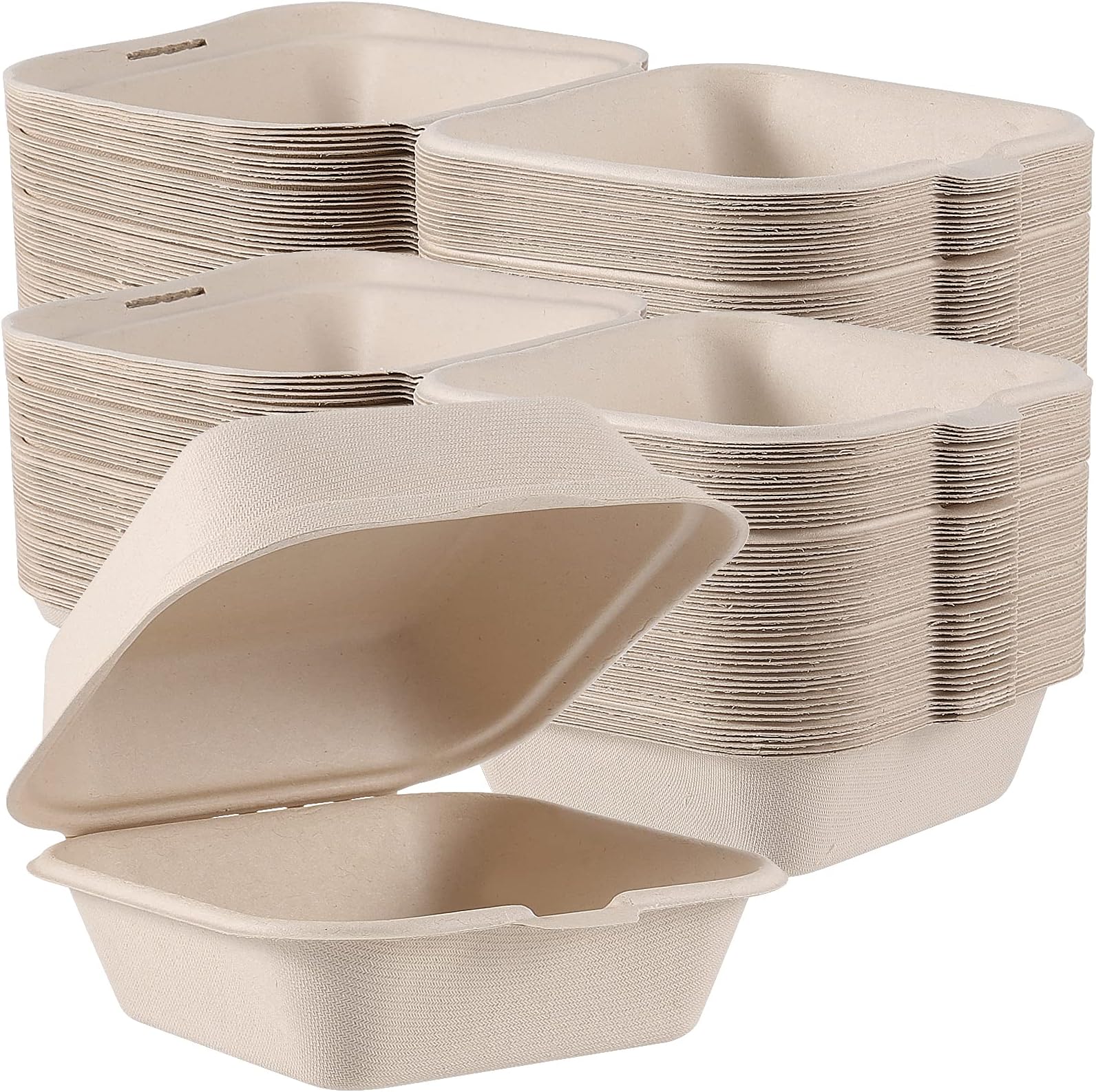 Amazon.com: Compostable 2-Compartment Rectangular Hinged Clamshell Take ...