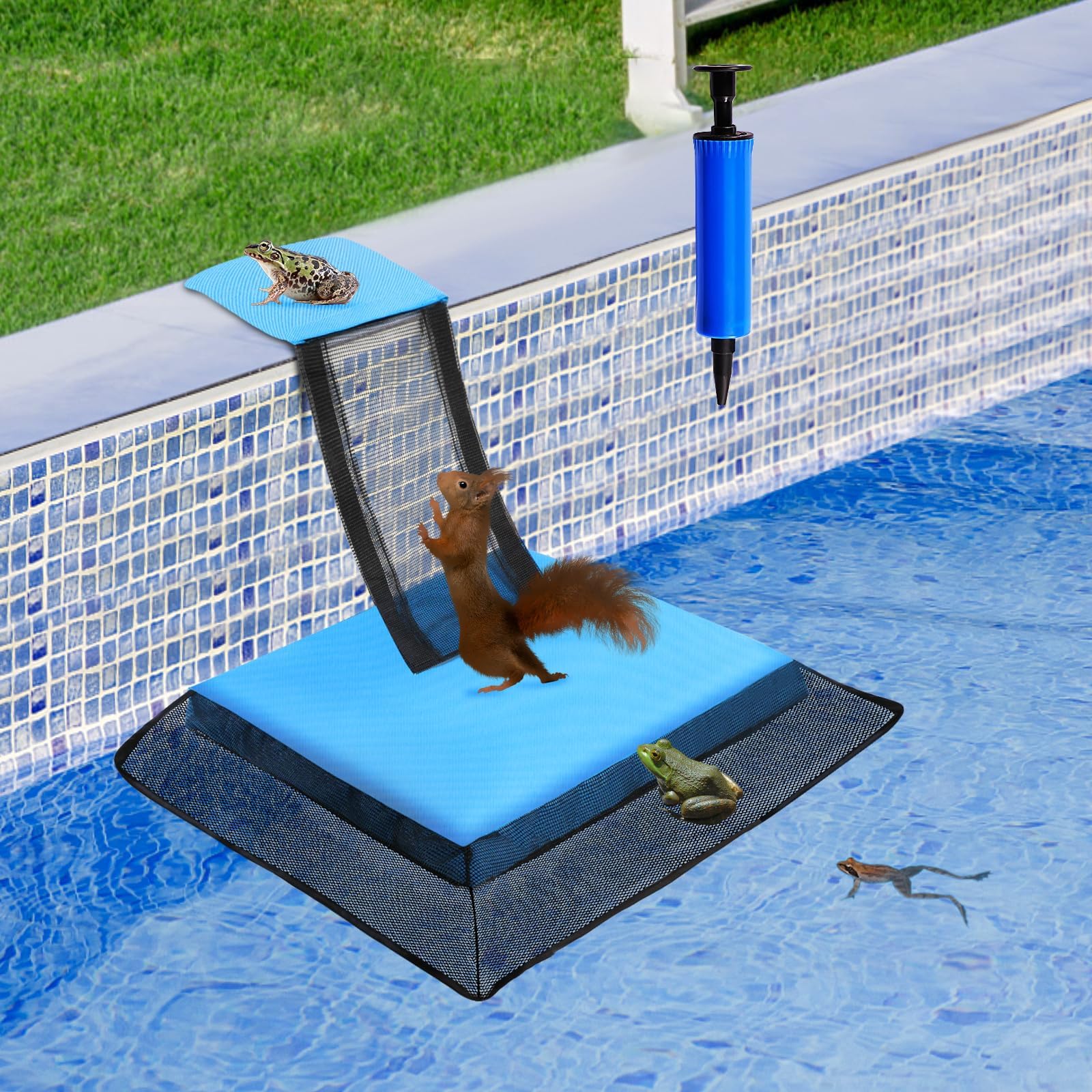 Amazon.com : PEEH Pool Animal Saving Escape Ramp, Frog Saver for ...