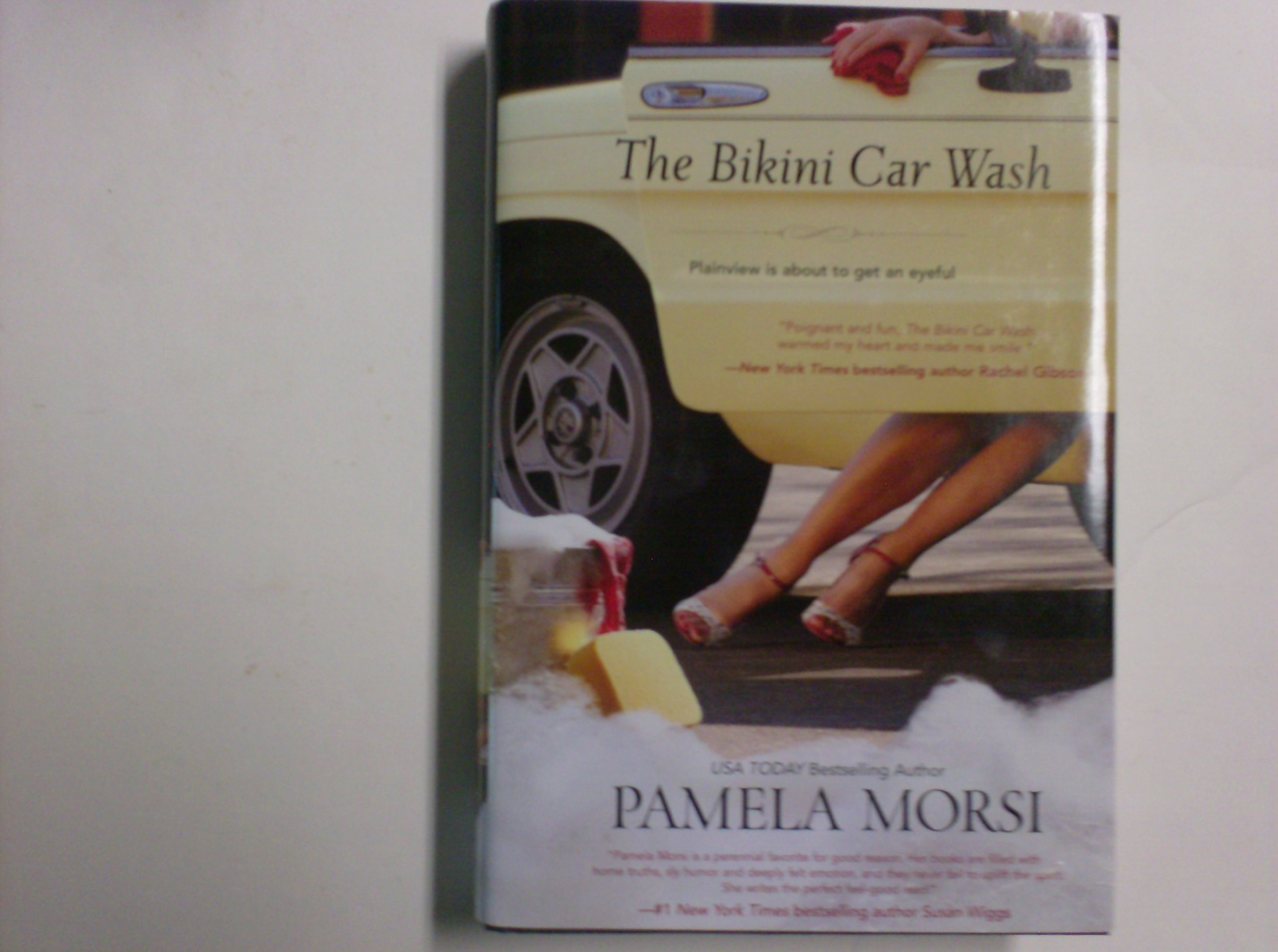 The Bikini Car Wash: Pamela Morsi: 9781616645847: Amazon.com: Books