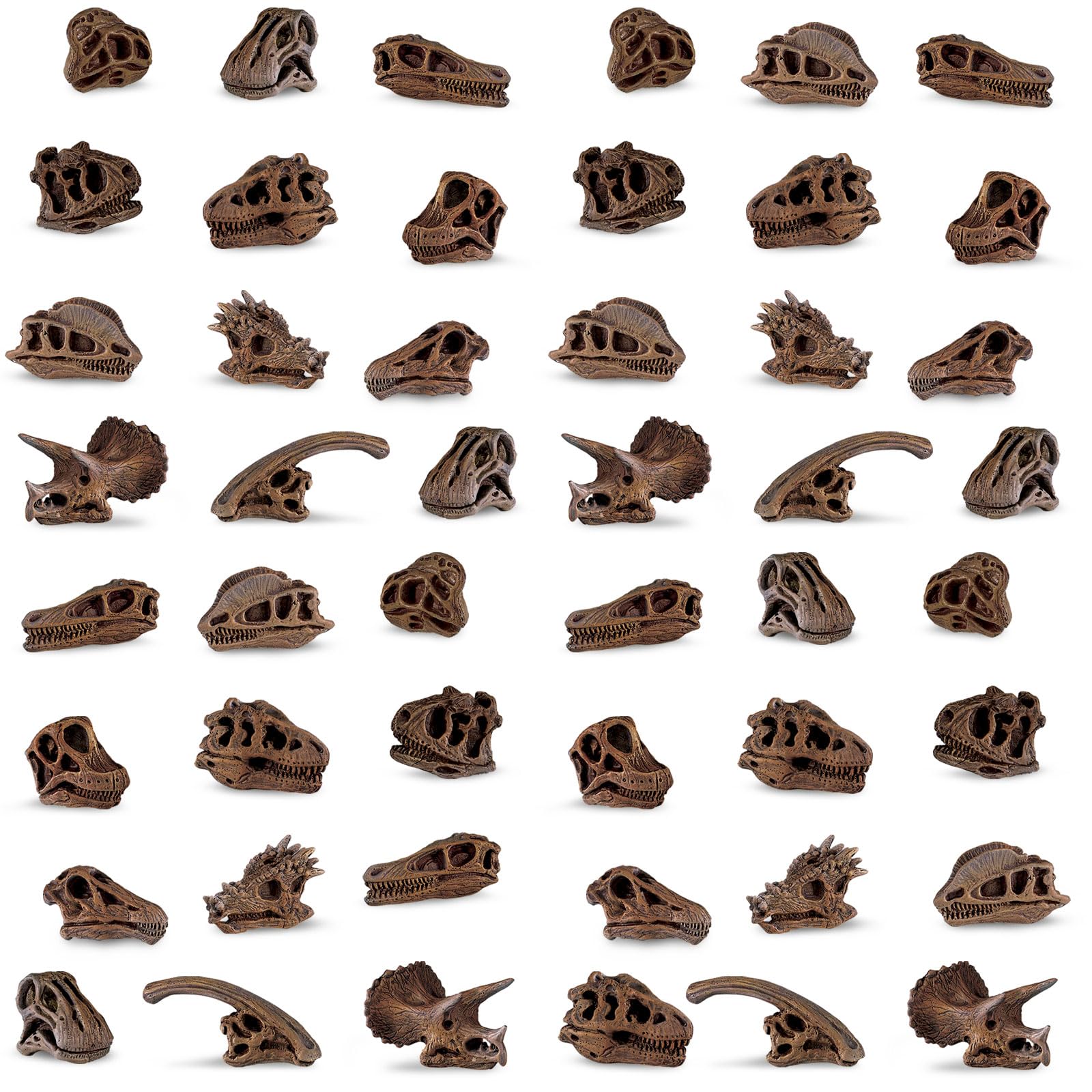 Amazon.com: Safari Ltd. Dino Skulls Bulk Bag - Educational Set of ...