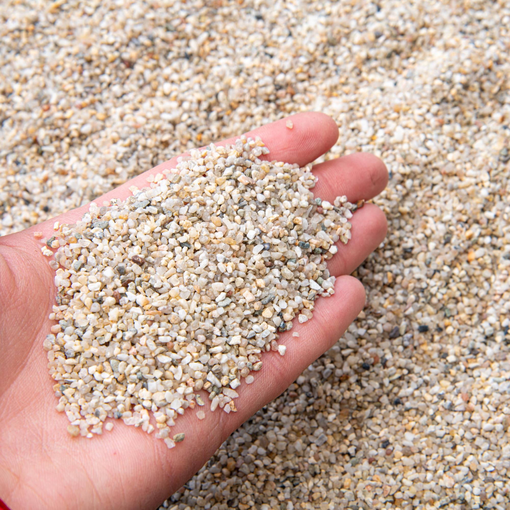 Roman Gravel White Quartz Sand 8 Kg : Amazon.co.uk: Pet Supplies
