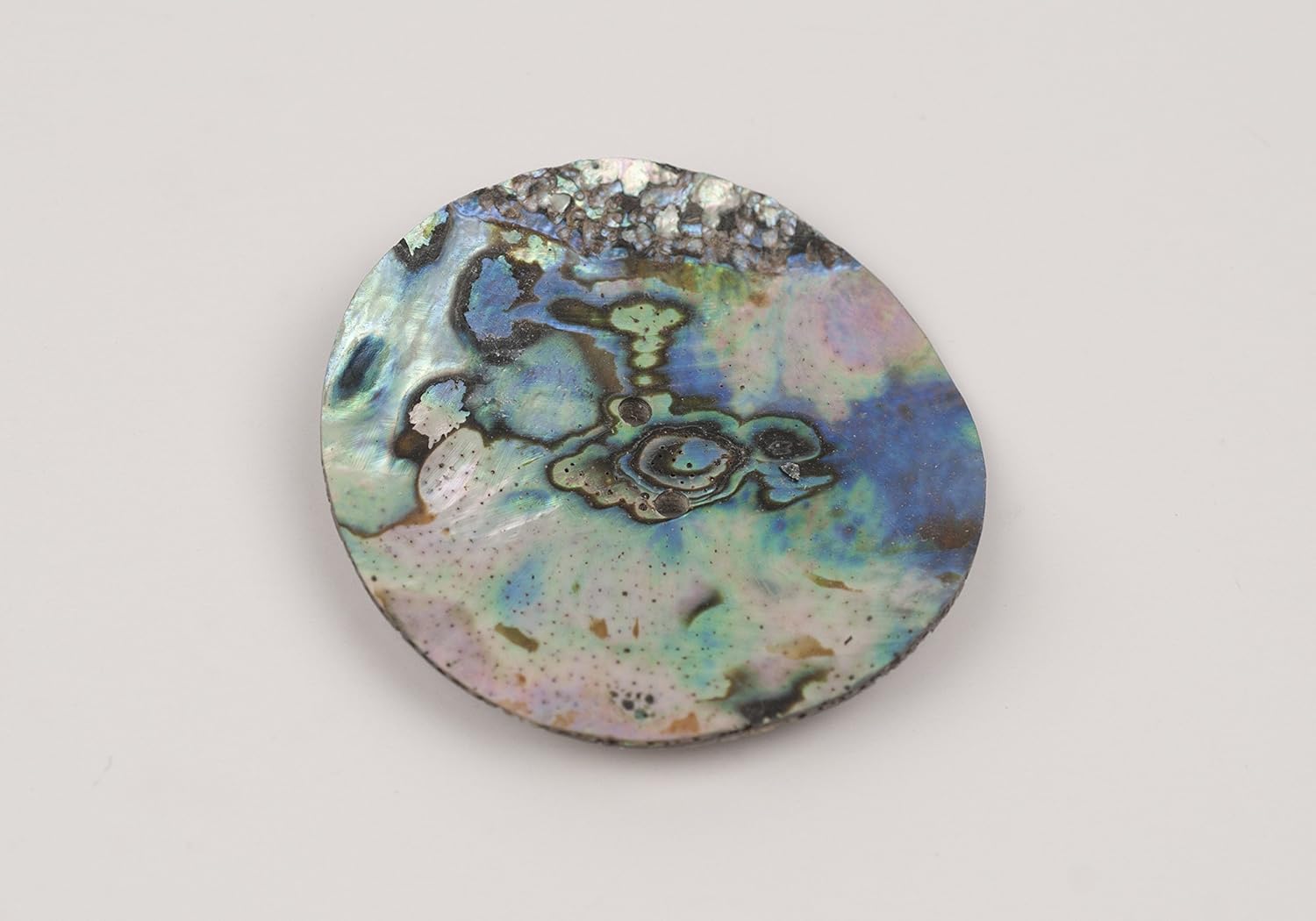 Amazon.com: Abalone Shell Discs - 2 Inch 2 Hole, 2 Pieces : Arts ...
